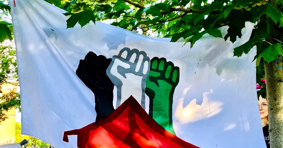 The Iterative Temporal Dynamic of Settler Colonialism in Kashmir ... The Iterative Temporal Dynamic of Settler Colonialism in Kashmir ...